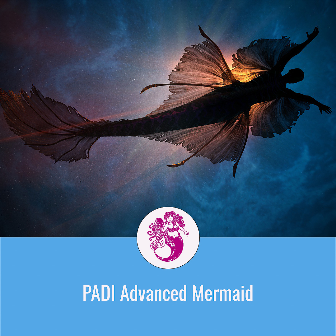 Courses | Irène la Sirène