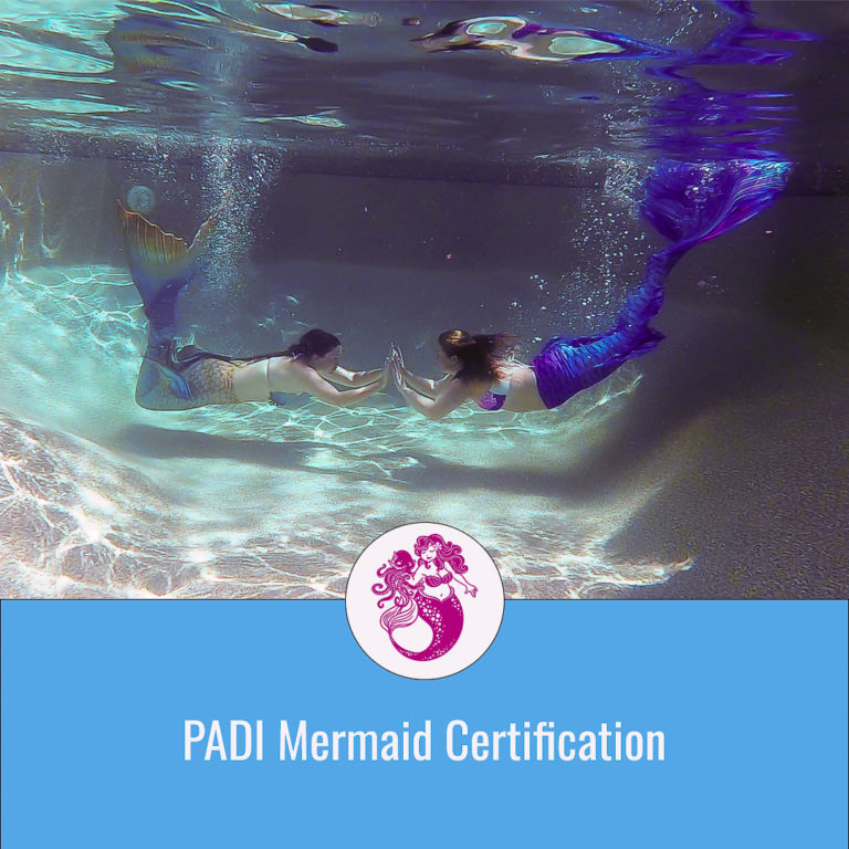 Courses | Irène la Sirène